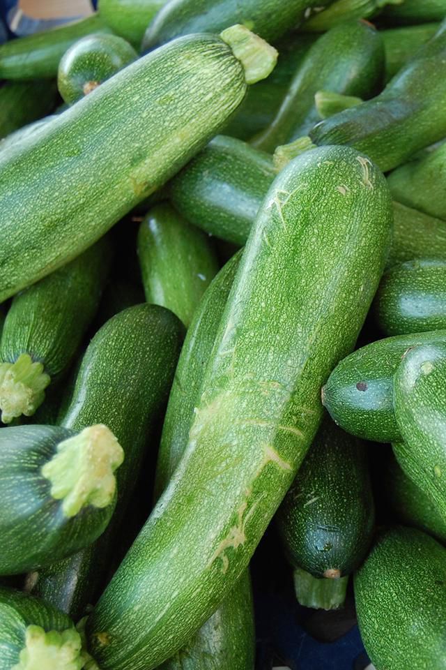 Zucchini
